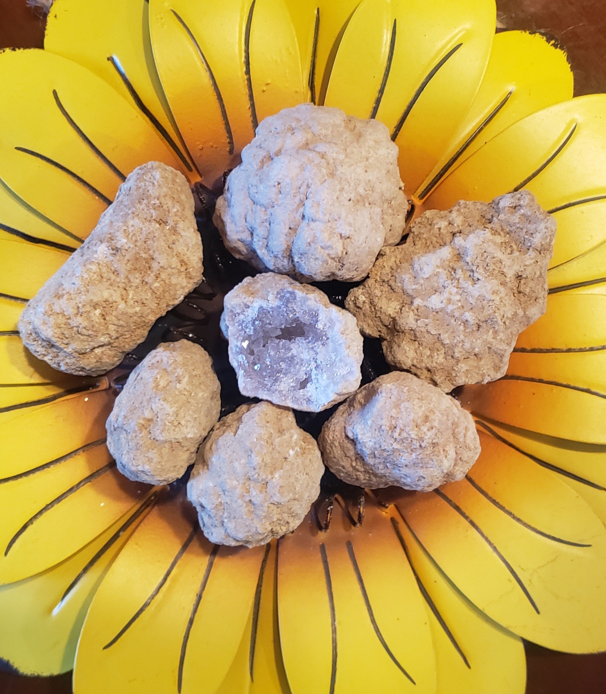 Geodes-Unopened – Crystallizedshop